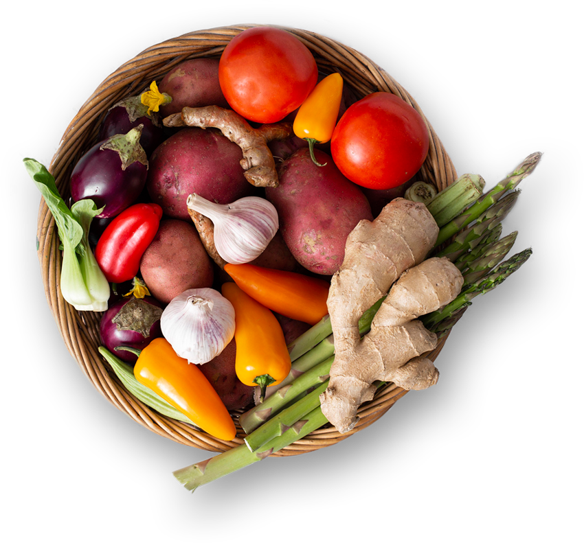 MCG Agro Farm – 100% Organic